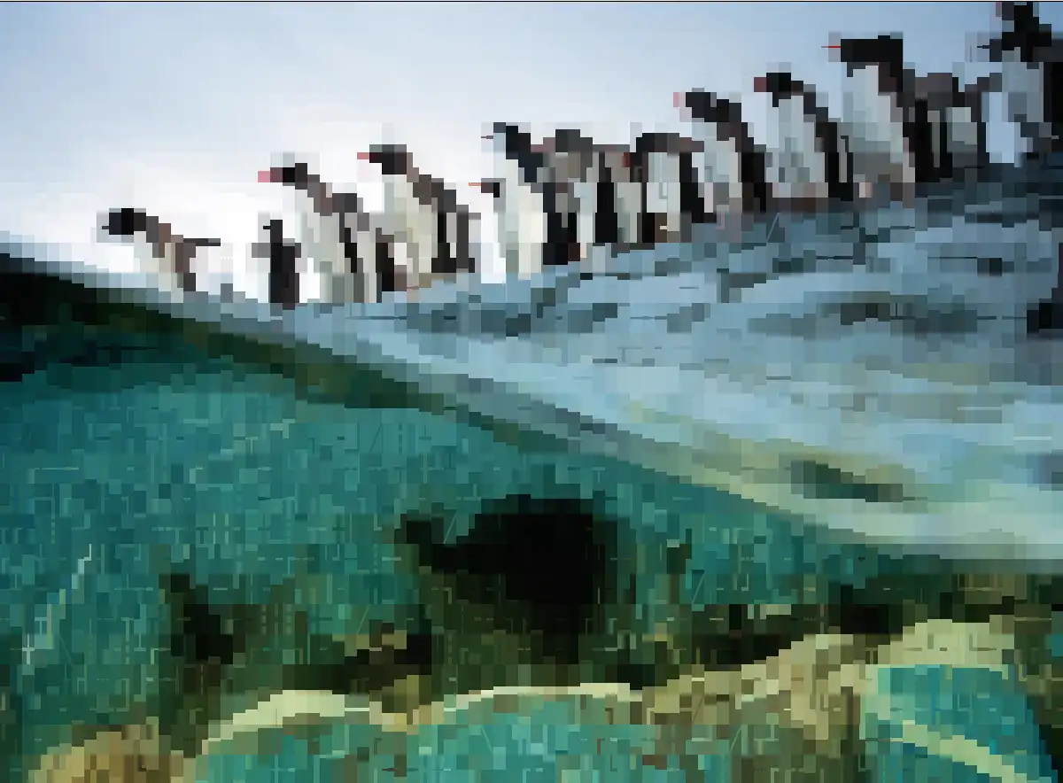 Chafa. Imágenes en la terminal